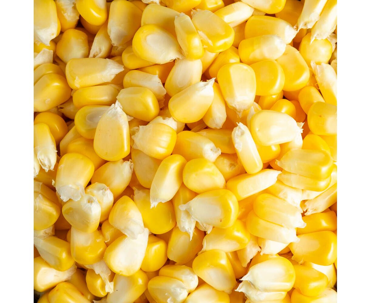 Semente de Milho Amarelo