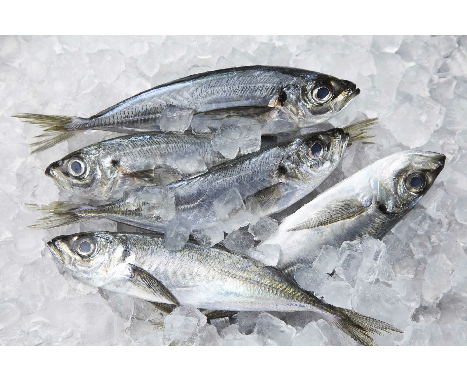 Alimentação :: Congelados :: Peixe :: Carapau G - Caixa - MEUMERKADO ...