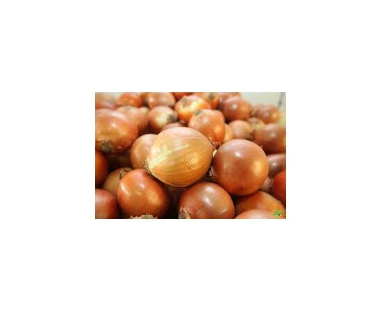 Alimentação :: Frescos :: Frutas e Legumes :: Cebola Importada ...